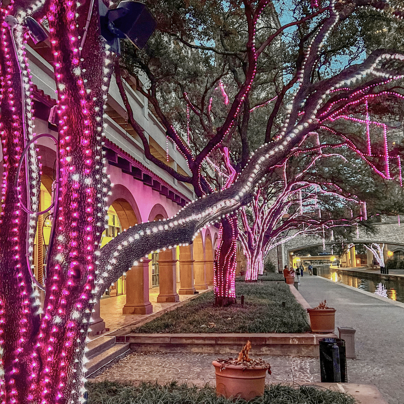 Las Colinas Love Lights - Las Colinas